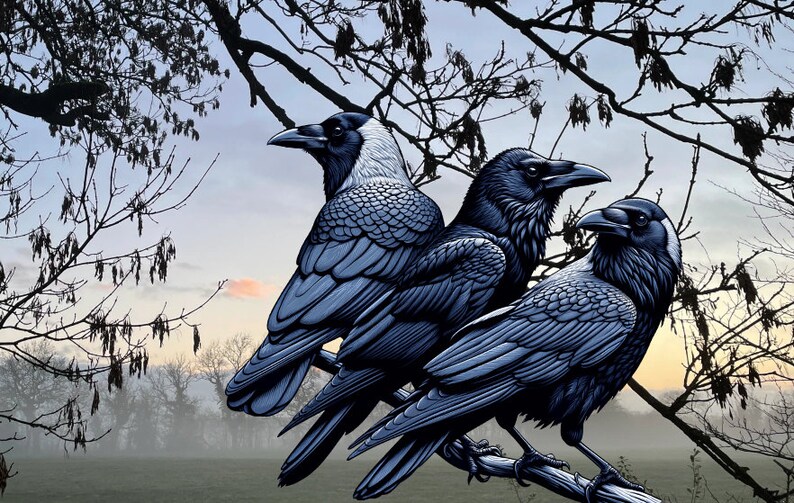 High Quality Crow Images SVG, Black Crow Images, Vector Crows, Picture ...