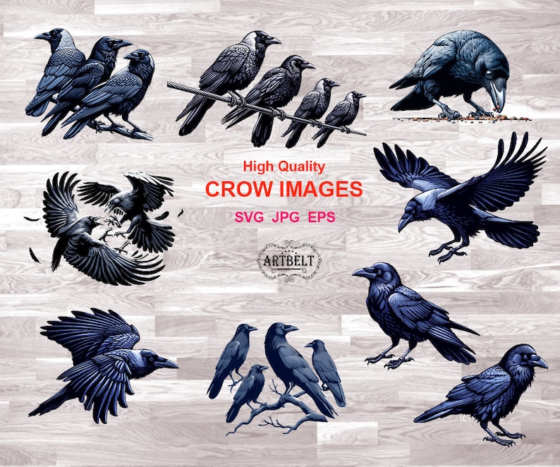 High Quality Crow Images SVG, Black Crow Images, Vector Crows, Picture ...