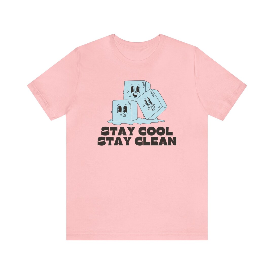 Stay Cool, Stay Clean T-shirt. Addiction Recovery Gift, Recovery Shirt ...