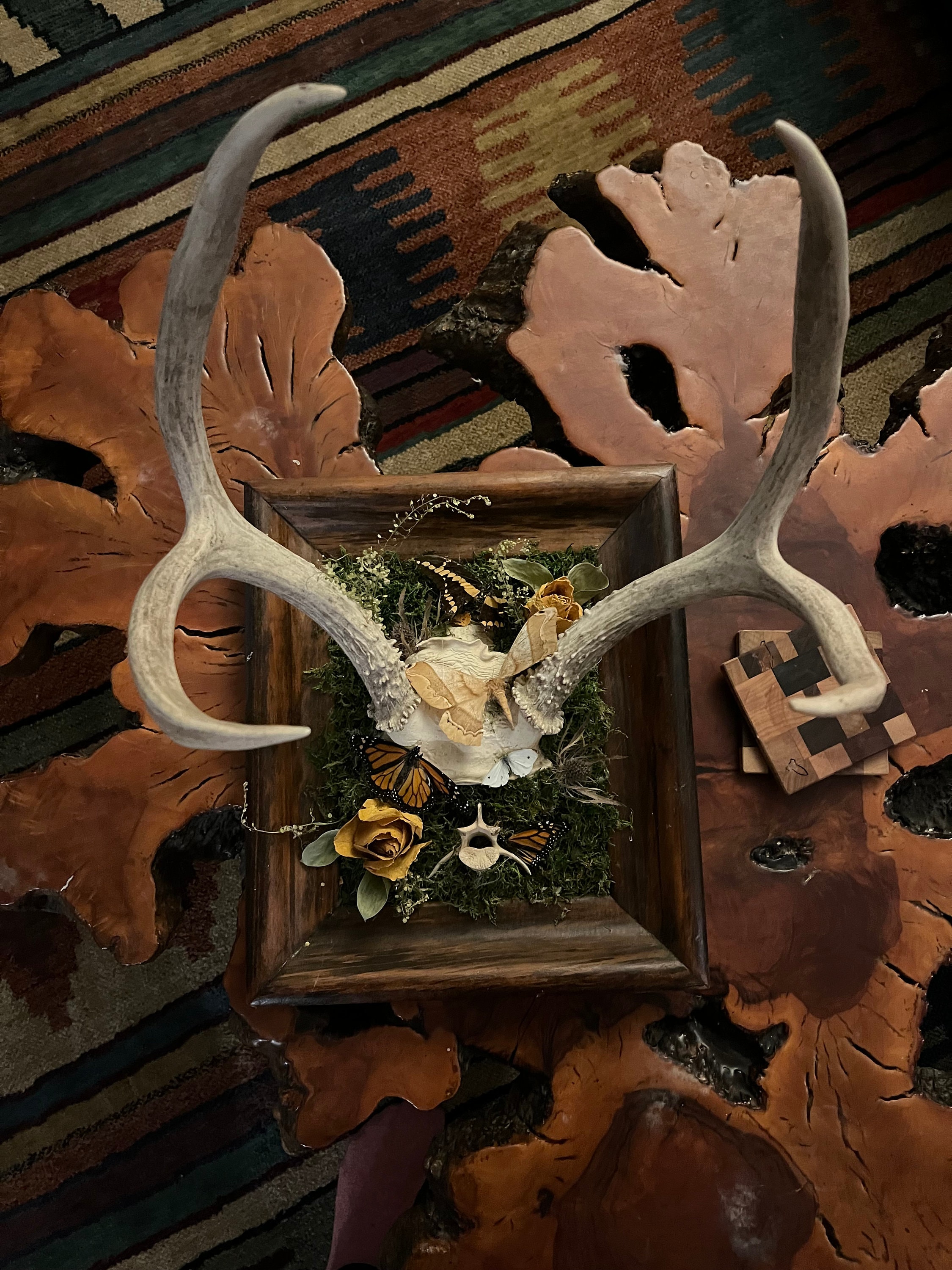 Deer Antler, Vertebrae and Butterfly Wall Art - Etsy