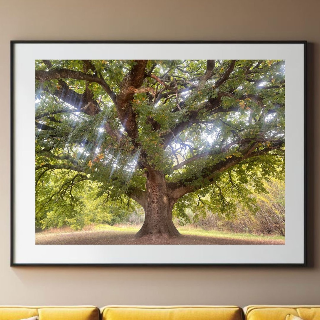 Old Oak Tree, Tree Wall Art, Printable, Landscape, Nature, Botanical ...