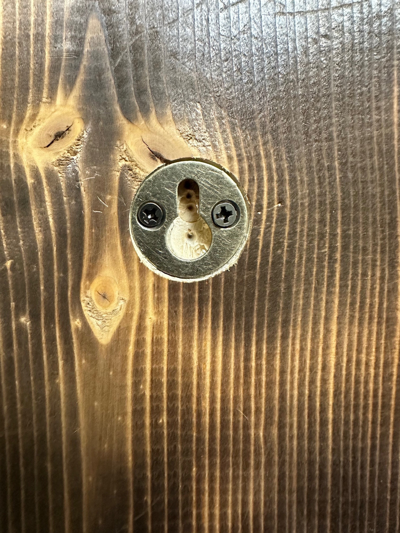 Laser Engraved Pine Trees on Reclaimed Pine Boards - Etsy