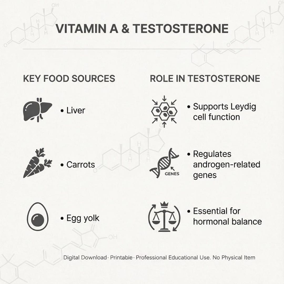 Vitamin A and Testosterone – Science-based Educational Visual ...