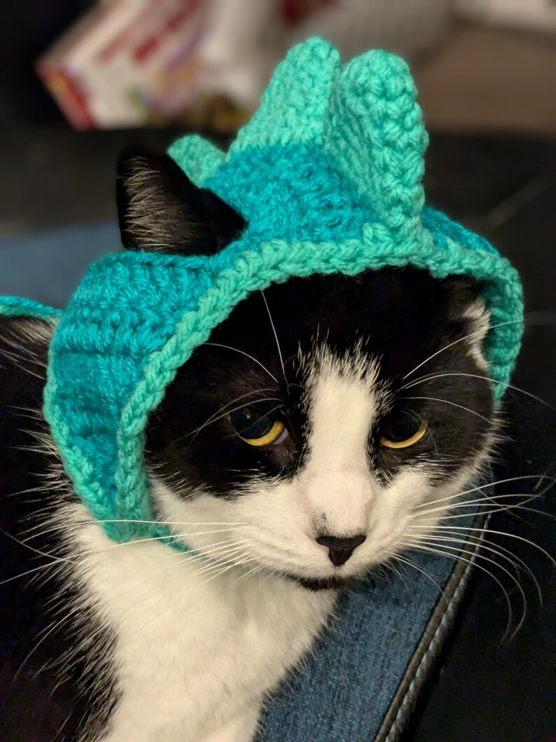 Crochet Dino Pet Hat - Etsy