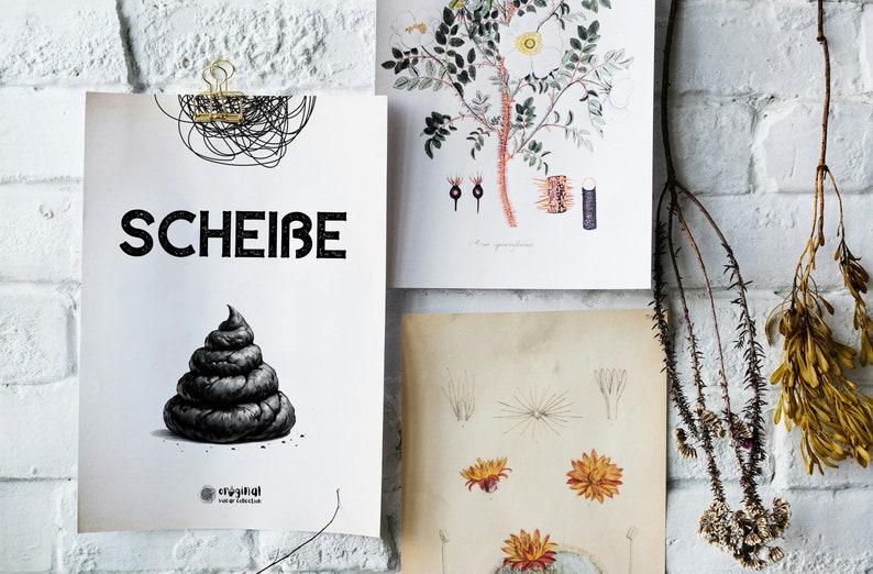 German Swear Phrases, English Swearing Words, French Swear Words ...