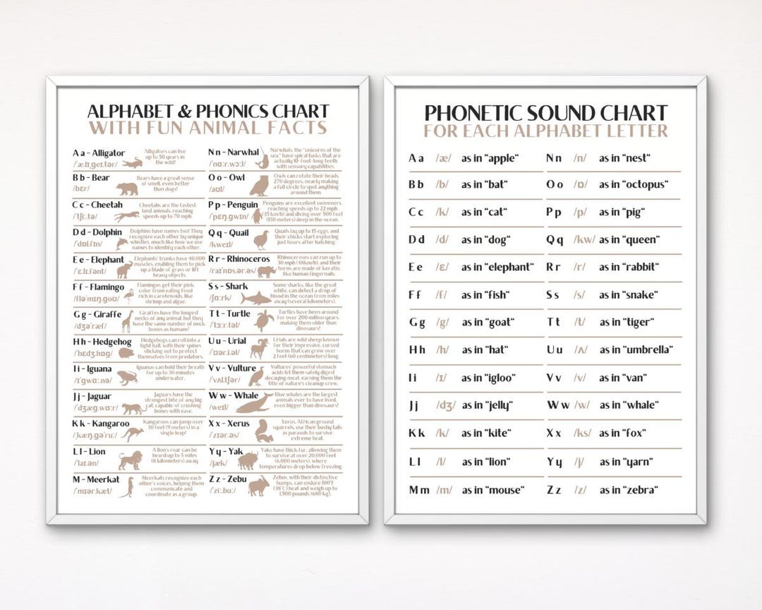 Educational Alphabet & Phonics Chart Set Fun Animal Facts Kids Learning ...