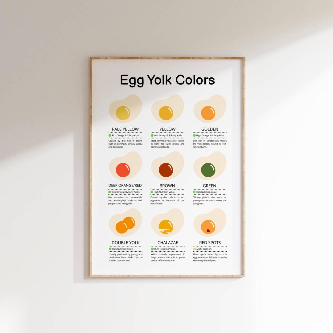 Egg Yolk Color Chart Printable Kitchen Wall Art for Gift for Food ...