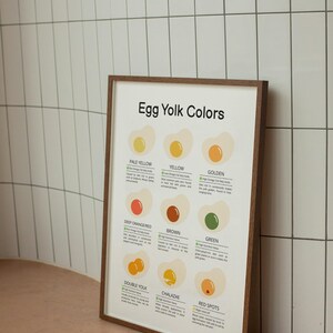 Egg Yolk Color Chart Printable Kitchen Wall Art for Gift for Food ...