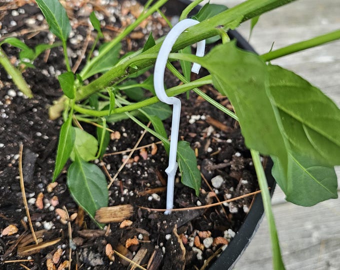 50x Reusable LST Clips for Cannabis Clips Plant Training 50 Clips per ...