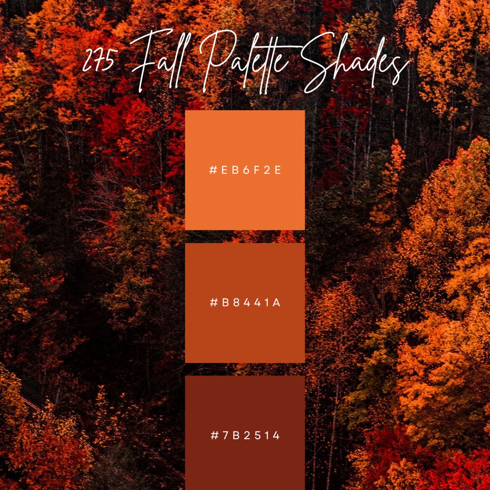 275 Fall Color Palette Shades for Canva, Autumn Palette Color Shades ...