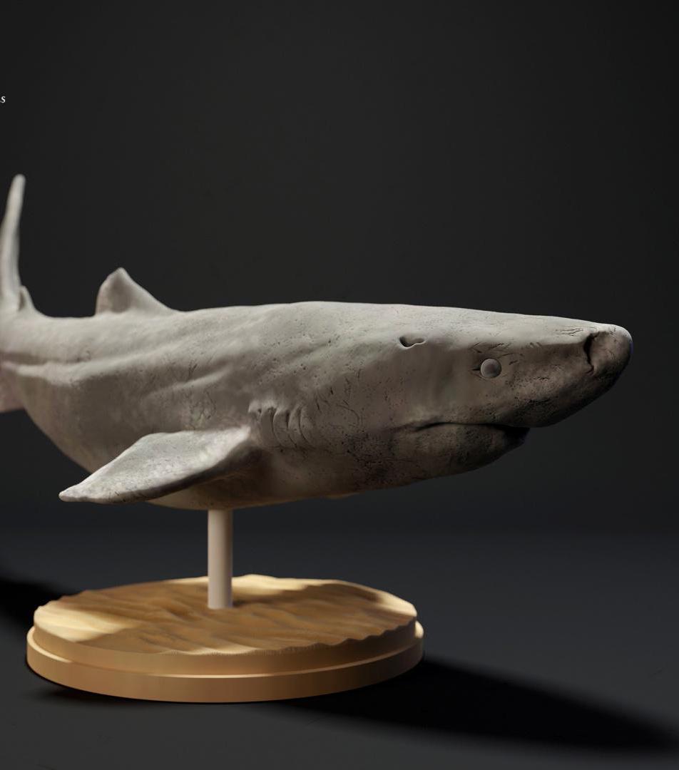 Great White Shark Breaching 3D STL Model – Realistic High-detail Ocean ...