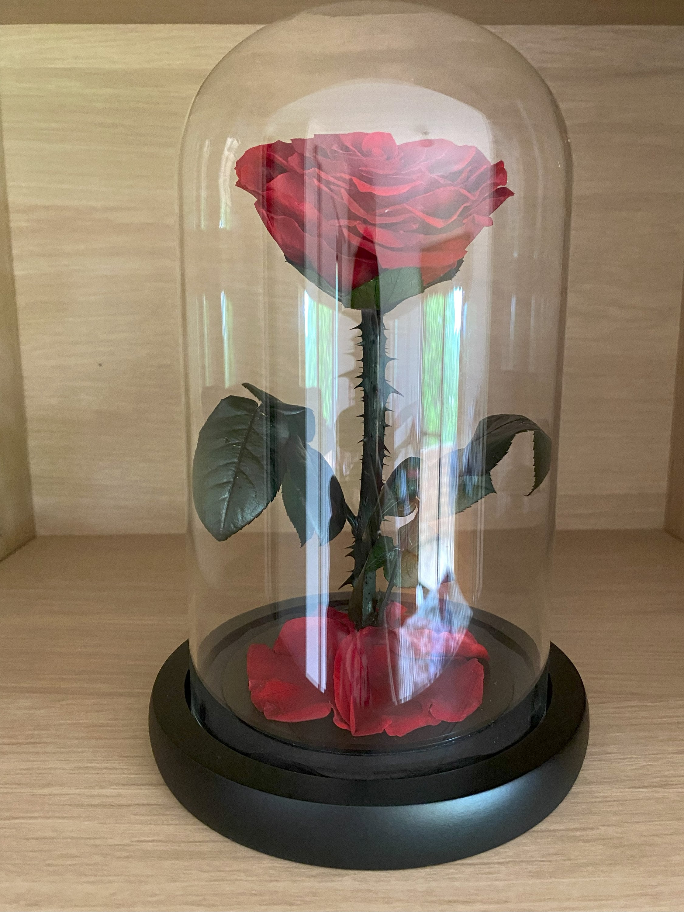 Eternal Red Heart Rose in Glass Dome, Handmade Gift (20cm) - Etsy