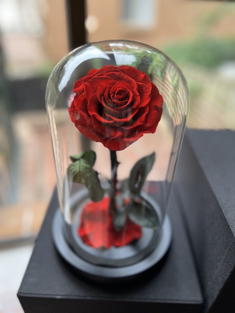 Preserved Rose in Glass Dome,valentine's Day Gift for Her,infinity Rose ...