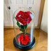 Eternal Red Heart Rose in Glass Dome, Handmade Gift (20cm) - Etsy