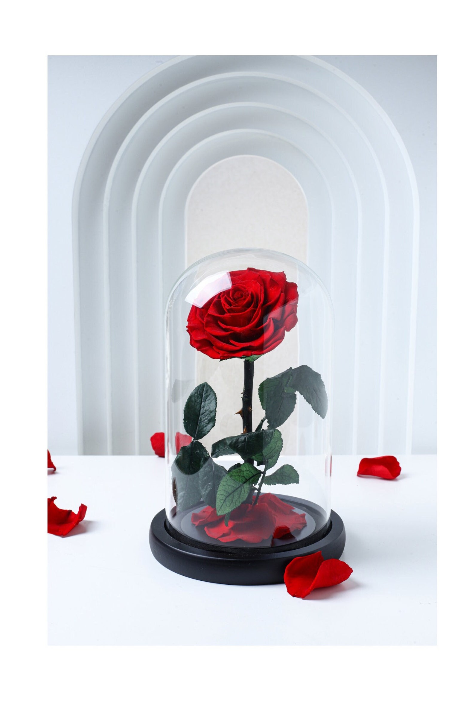 Preserved Rose in Glass Dome,valentine's Day Gift for Her,infinity Rose ...