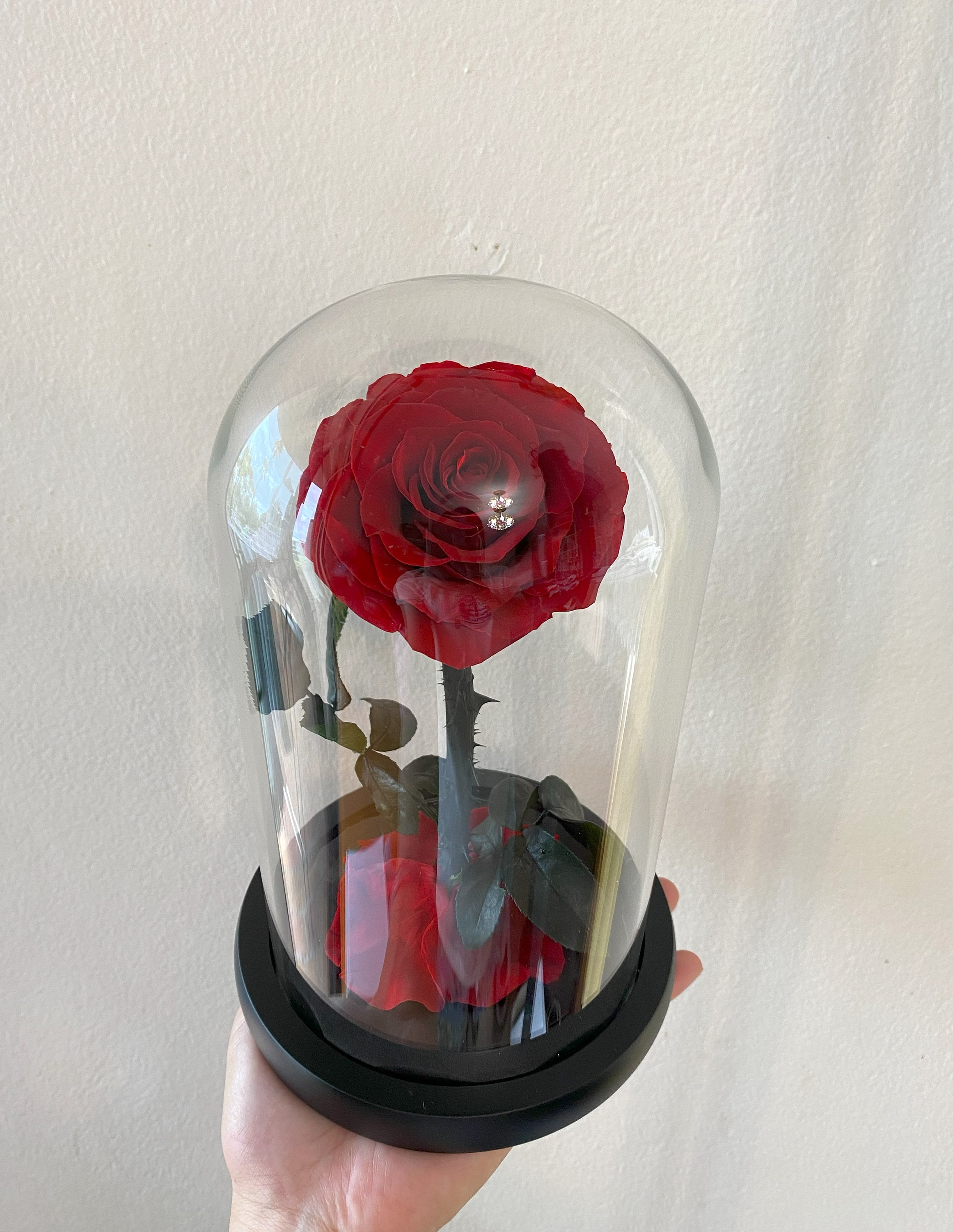 Preserved Rose in Glass Dome,valentine's Day Gift for Her,infinity Rose ...