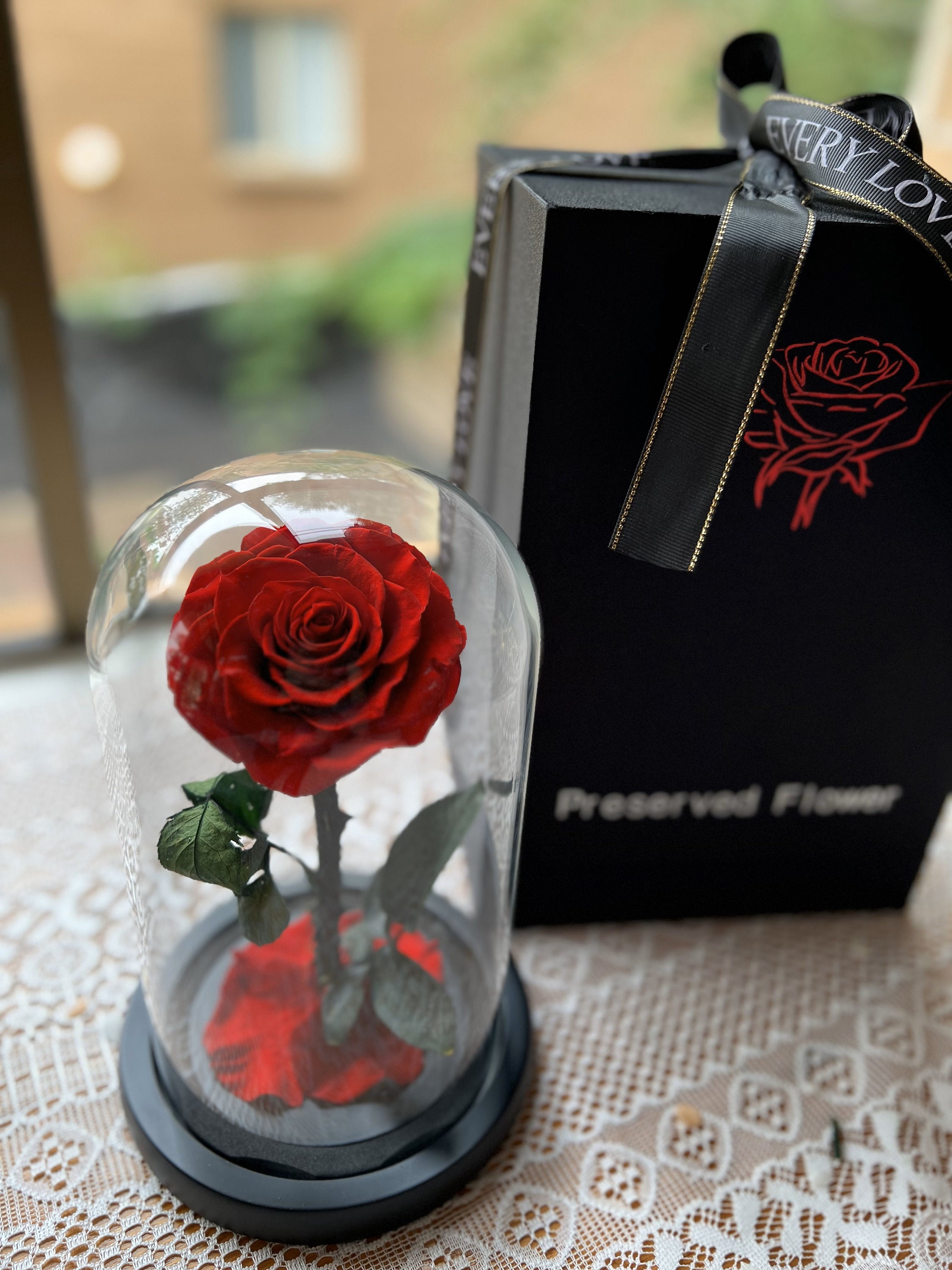 Preserved Rose in Glass Dome,valentine's Day Gift for Her,infinity Rose ...