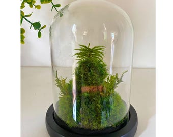 Miniature Moss Terrarium in Glass Dome - Eco-friendly Thanksgiving I ...