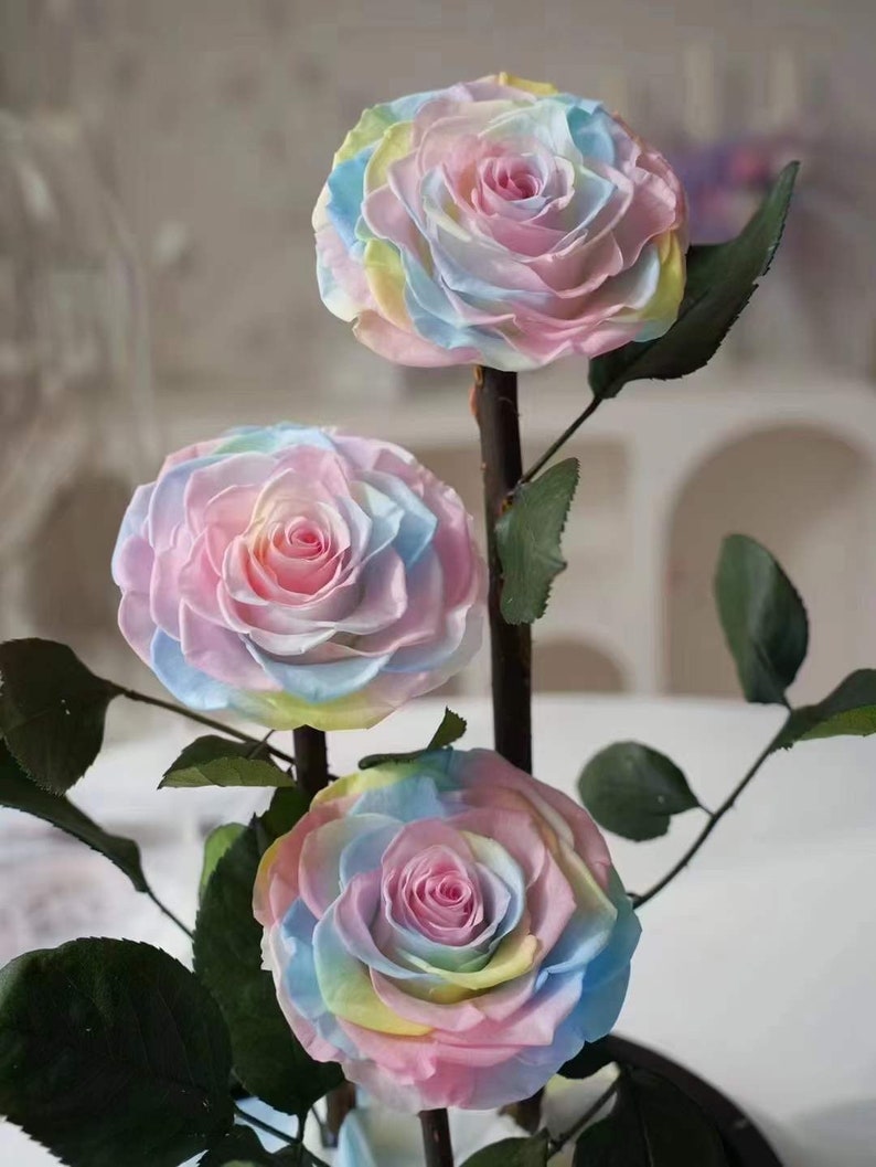 Handmade Preserved Rose Trio in Glass Dome: Everlasting Floral Display ...