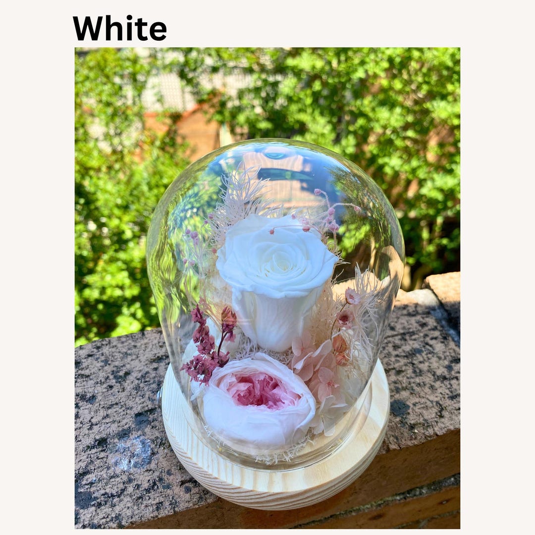 Limited Edition Preserved Rose Night Light -valentines Gift for Her ...