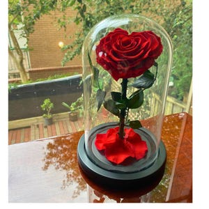 Eternal Preserved Heart Rose in Glass Dome | Handmade Red Rose Gift for ...