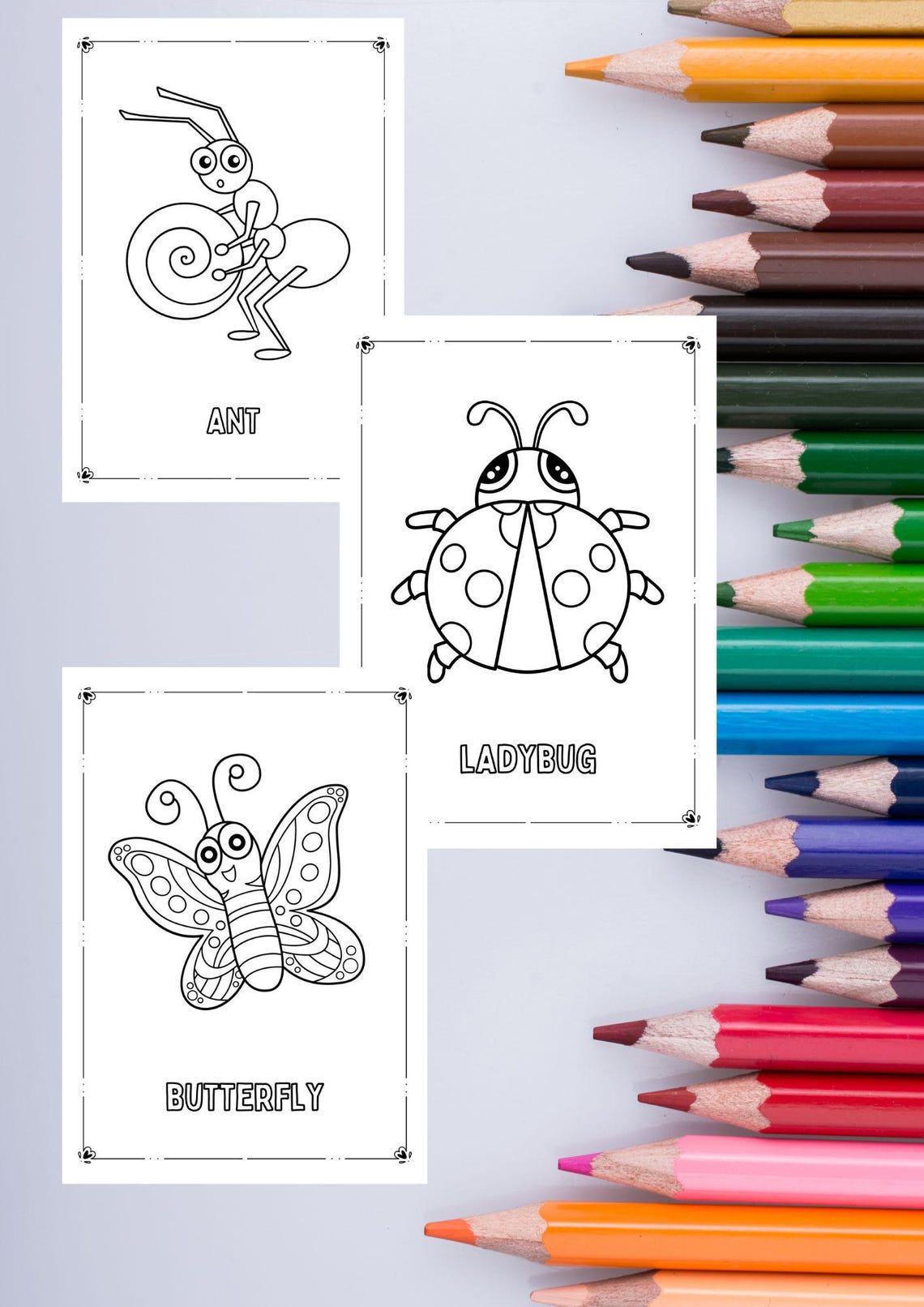 Coloriages d'insectes à imprimer pour les enfants - Etsy France