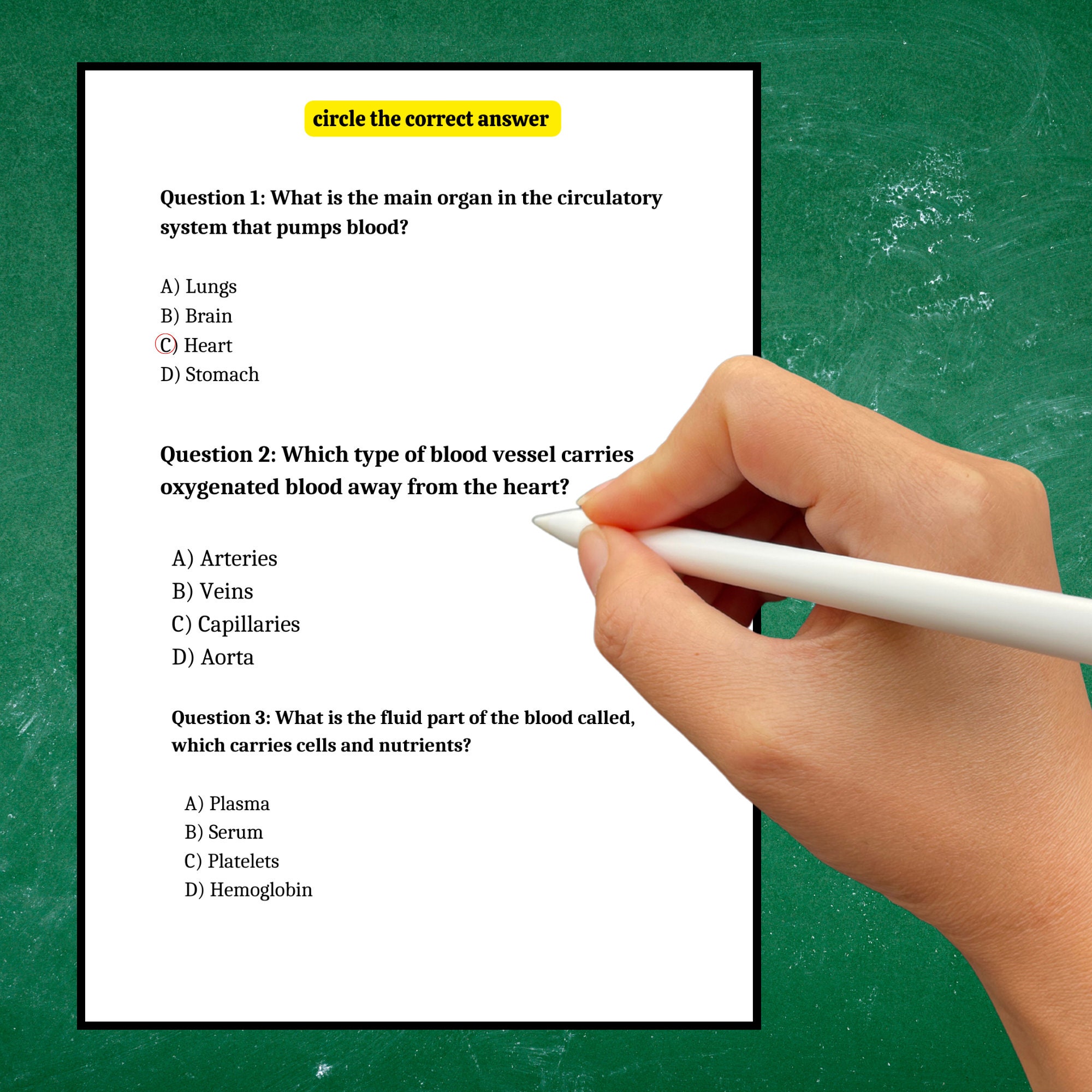 Discover & Color, Anatomy Adventures, Human Circulatory System Coloring ...