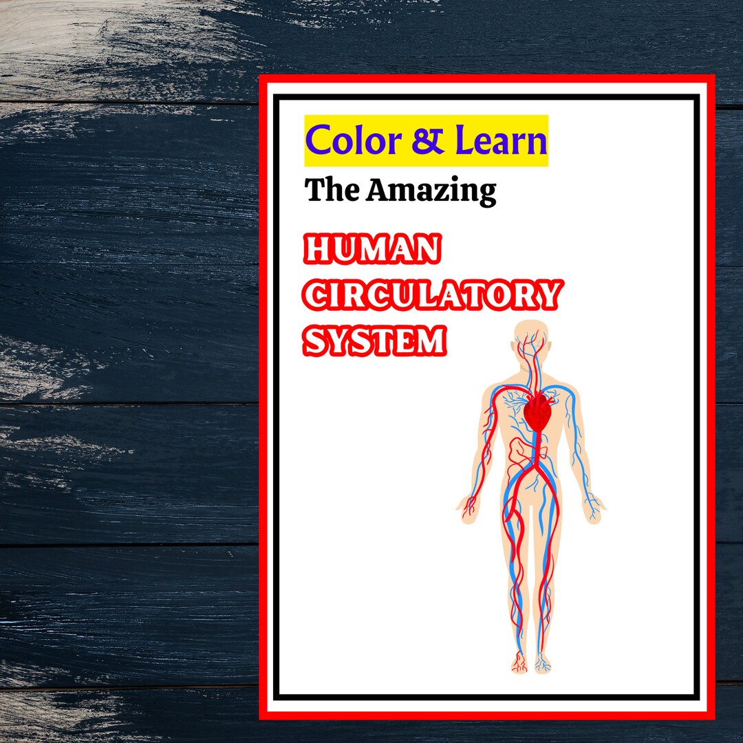 Discover & Color, Anatomy Adventures, Human Circulatory System Coloring ...