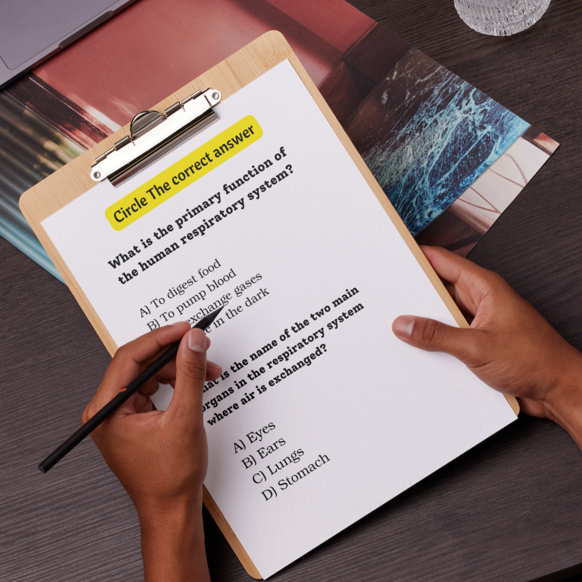 Colorful Lungs, Fun With Anatomy, Breathe, Color, Learn, Educational ...