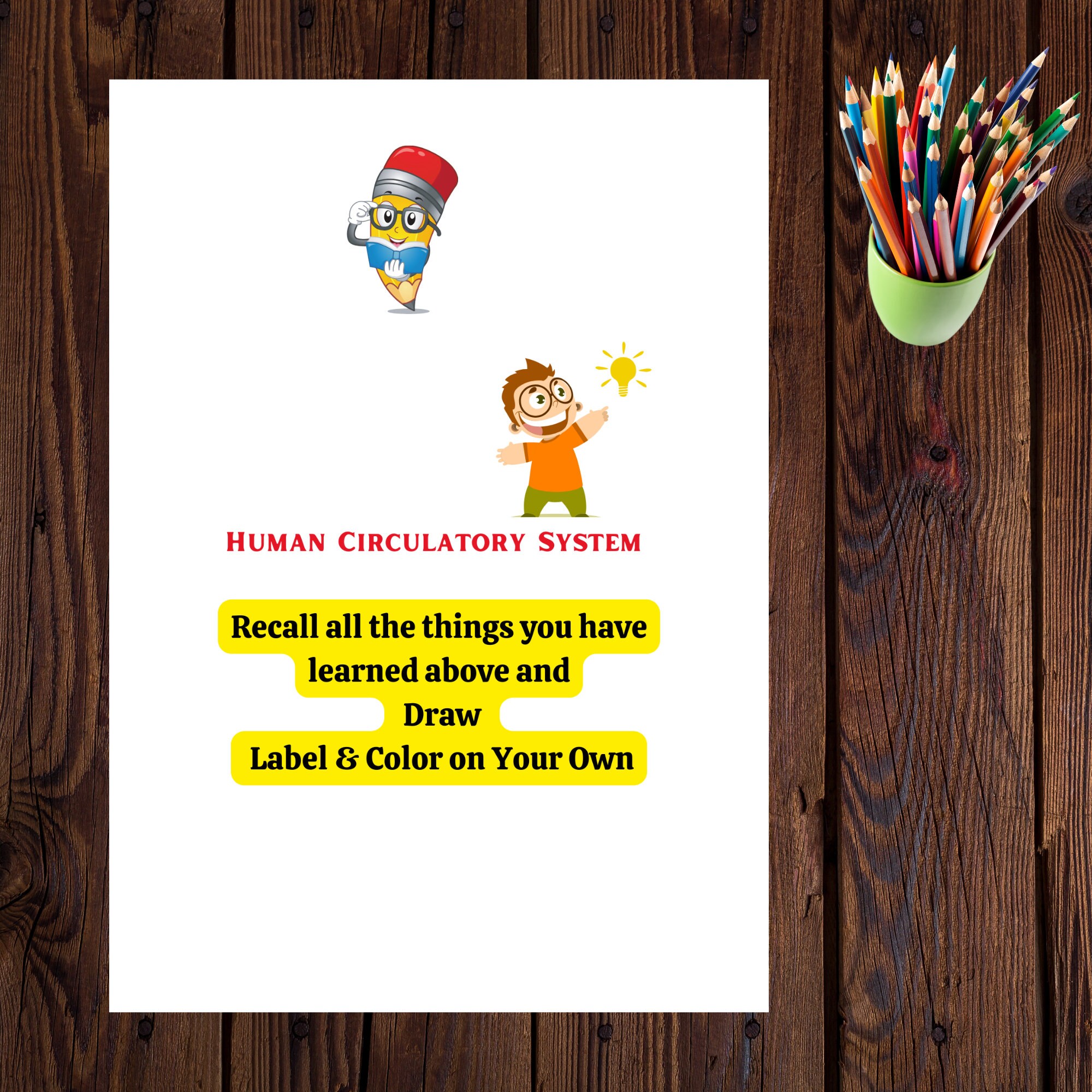 Discover & Color, Anatomy Adventures, Human Circulatory System Coloring ...