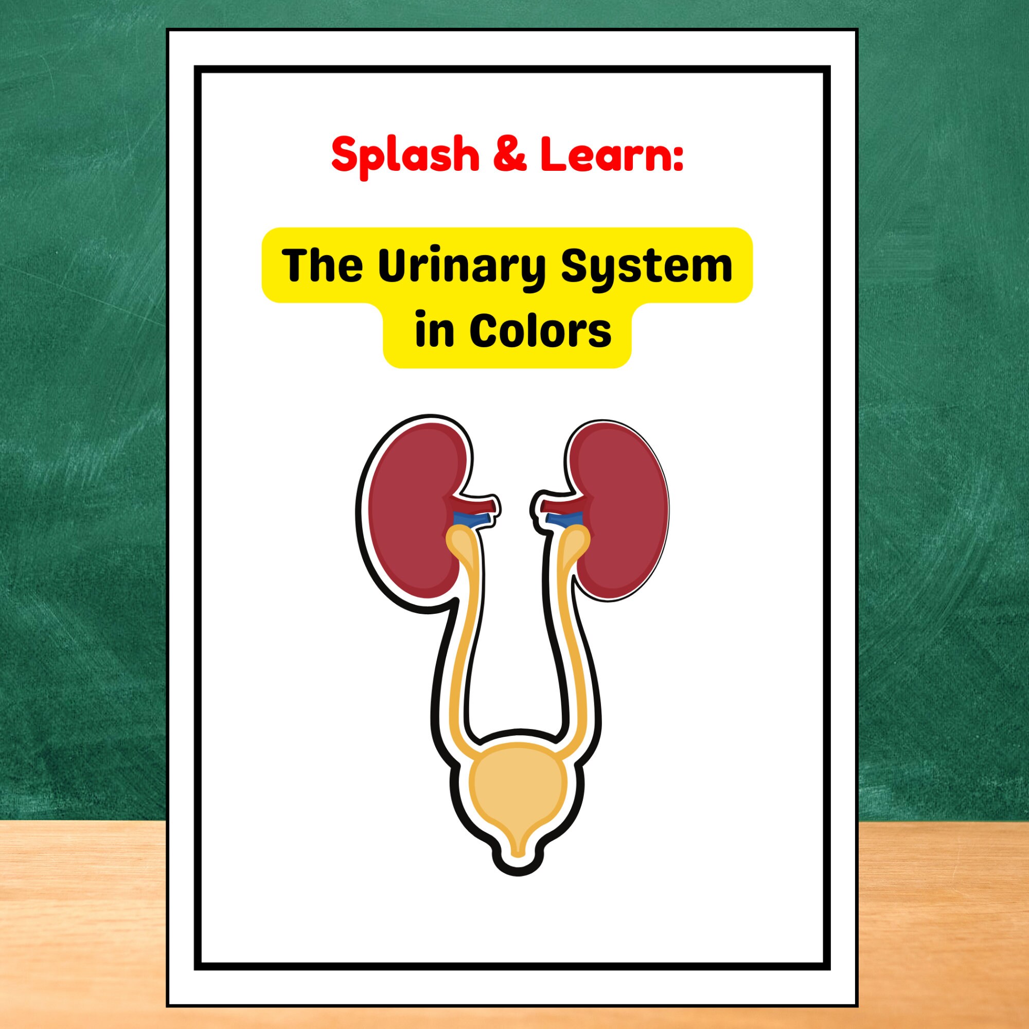 Urinary Adventures, Kid-friendly Urinary System Learning Coloring E ...