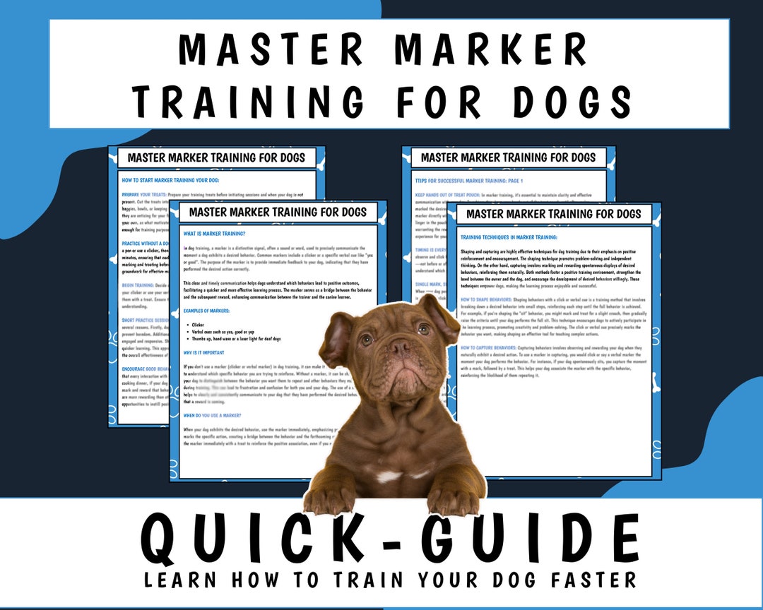 Master Marker Training for Dogs - Etsy