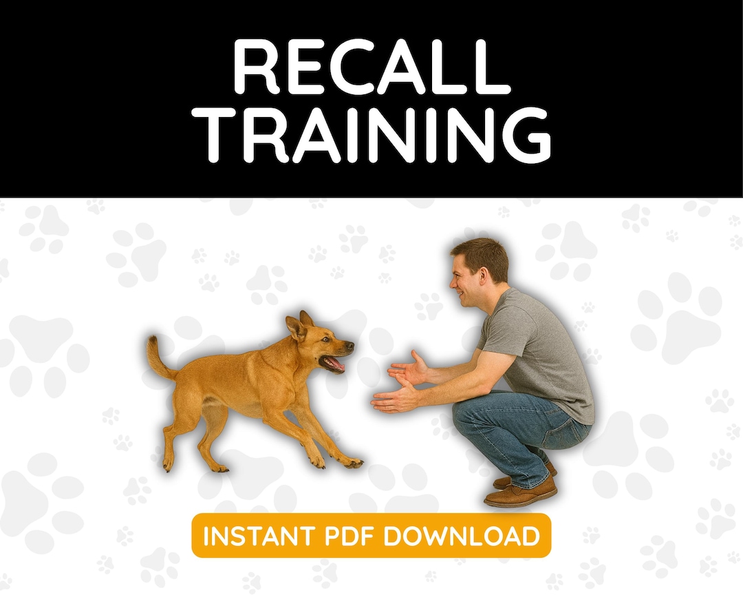 Recall Training PDF for Dogs - Etsy