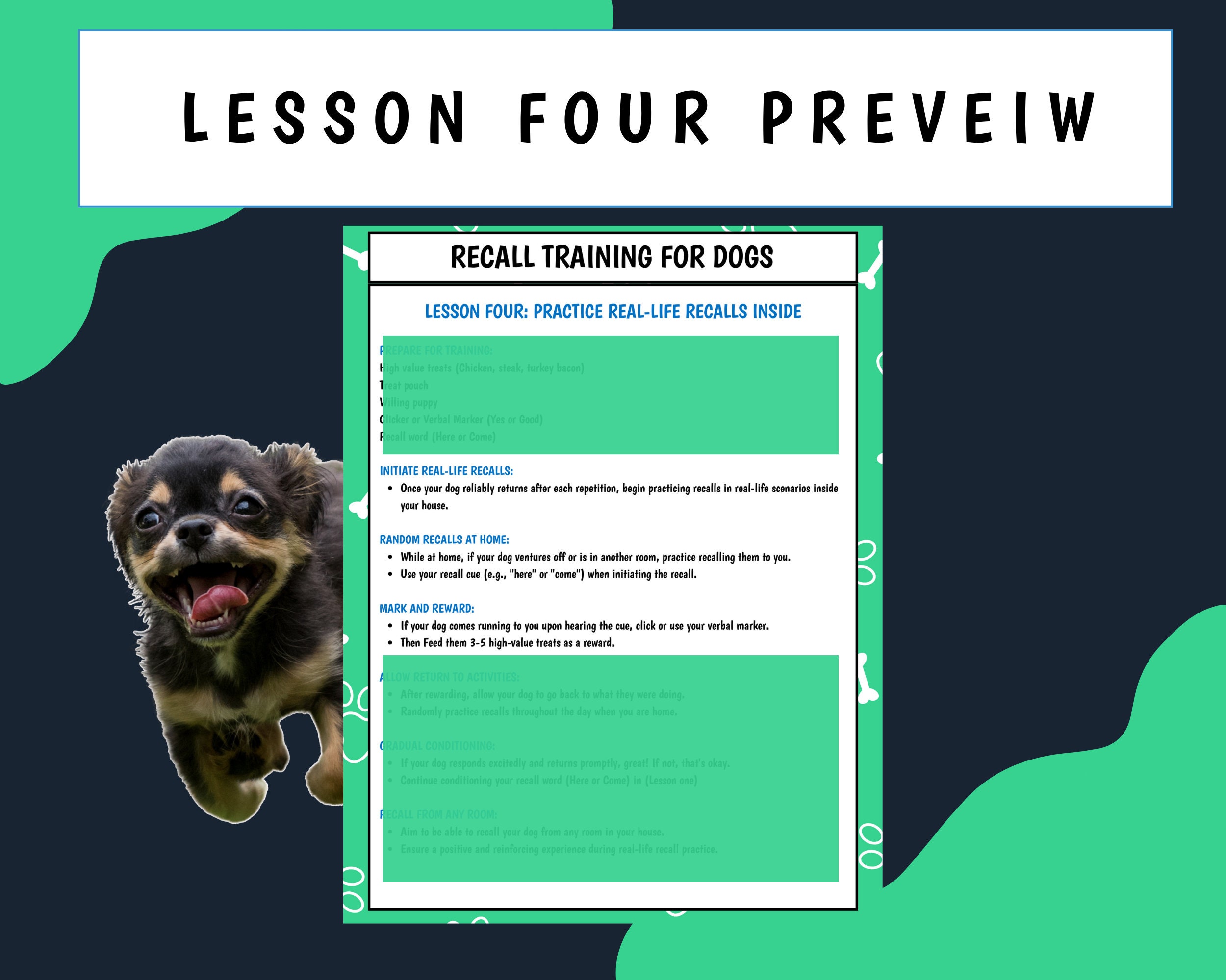 Recall Training PDF for Dogs - Etsy