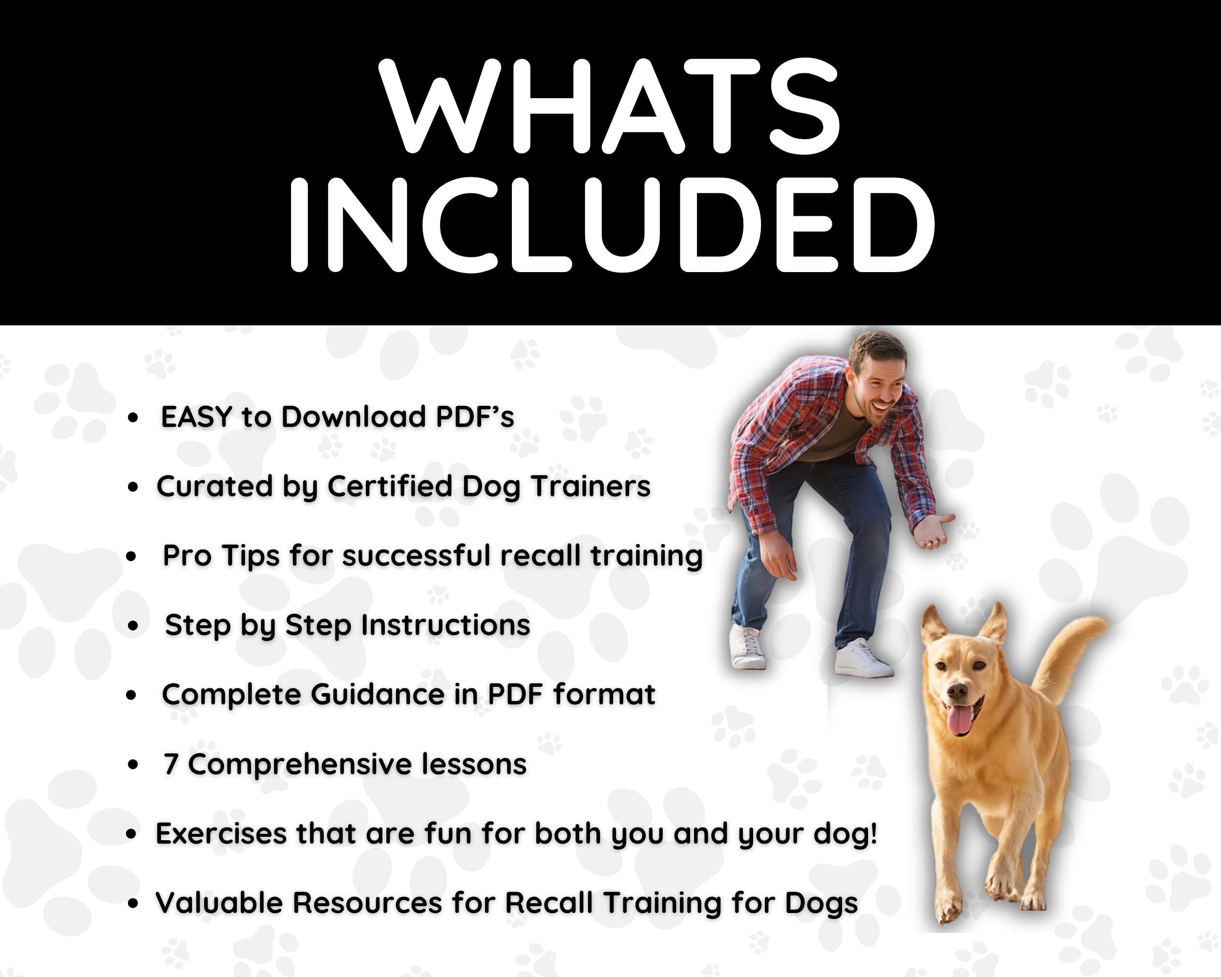 Recall Training PDF for Dogs - Etsy