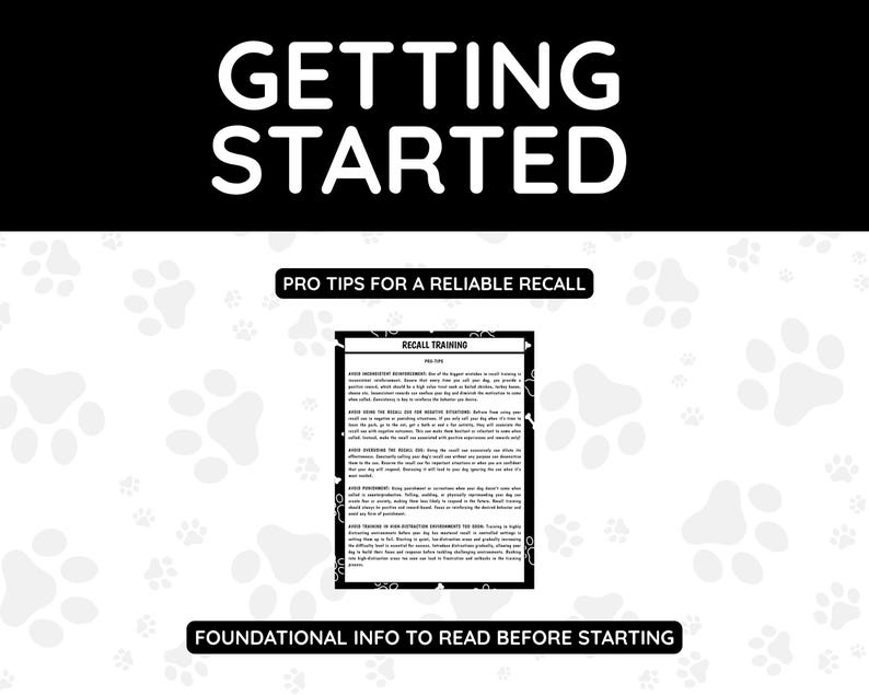 Recall Training PDF for Dogs - Etsy