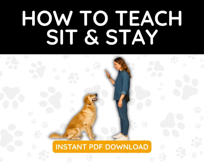 How to Teach Your Dog to Sit & Stay PDF - Etsy