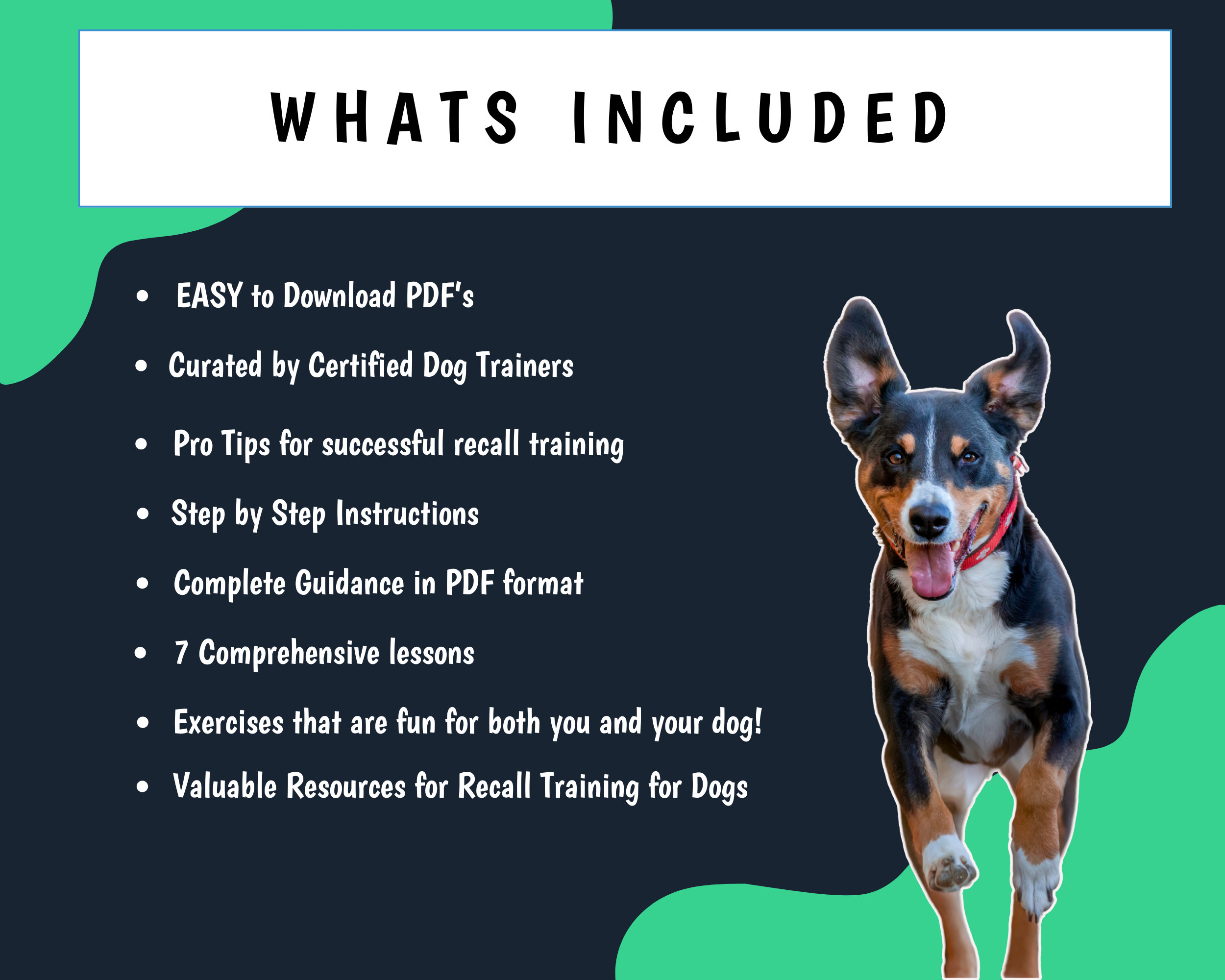 Recall Training PDF for Dogs - Etsy