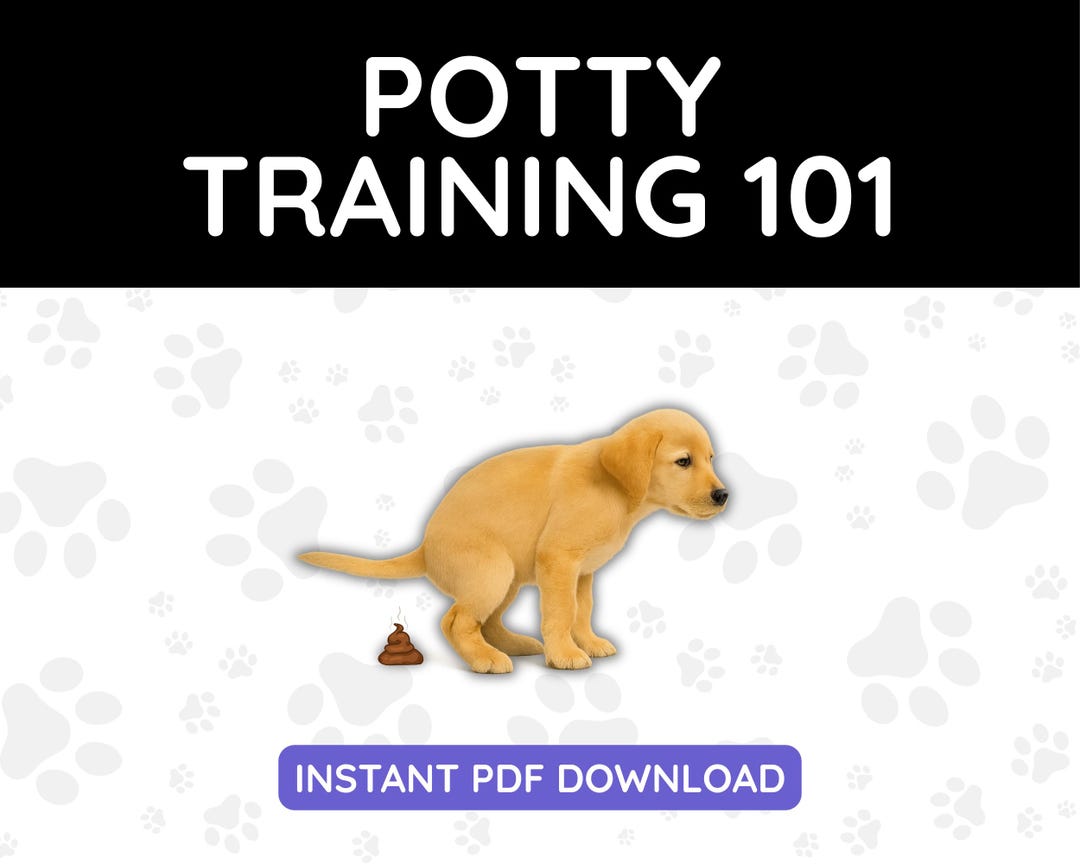 Potty Training PDF for Puppy Owners - Etsy