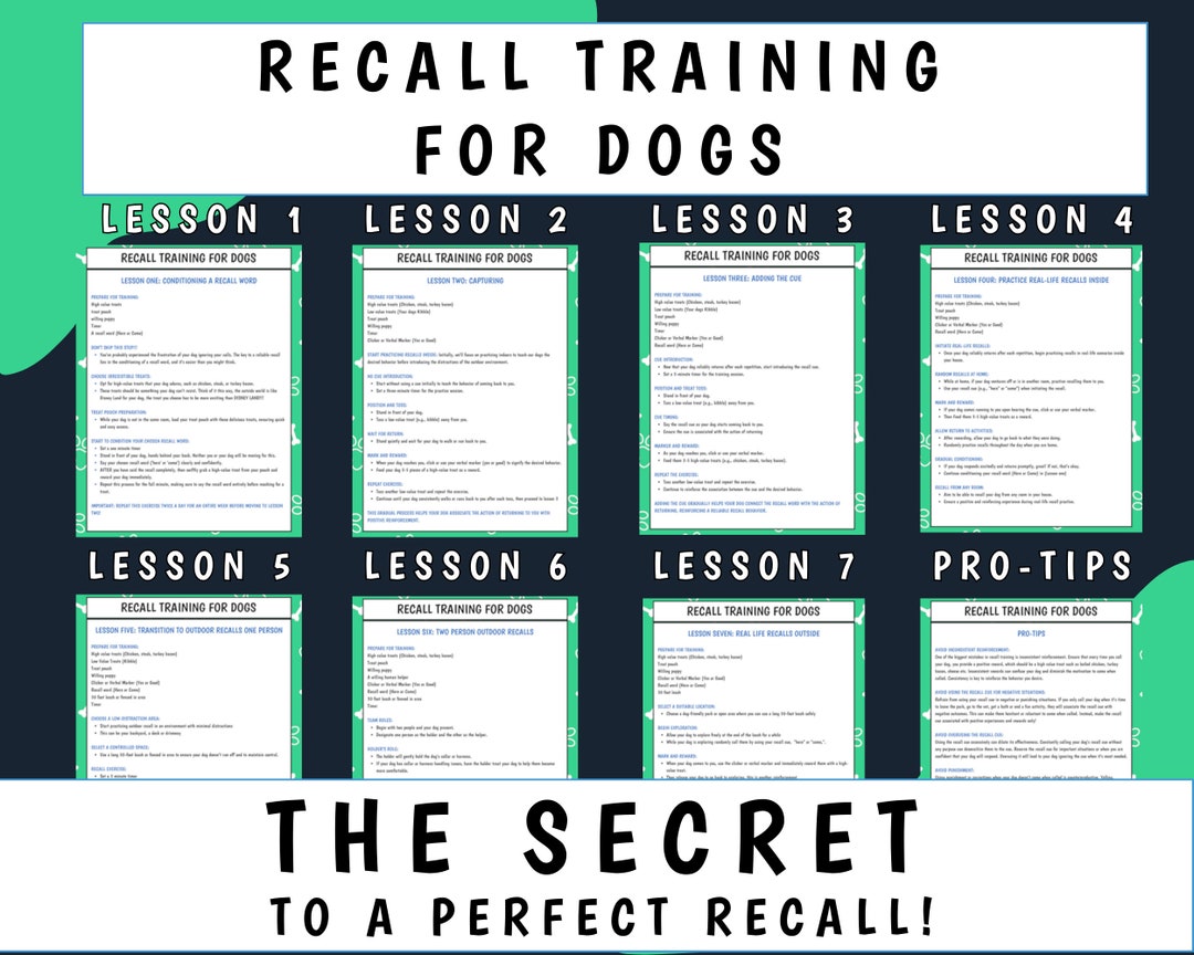 Recall Training PDF for Dogs - Etsy
