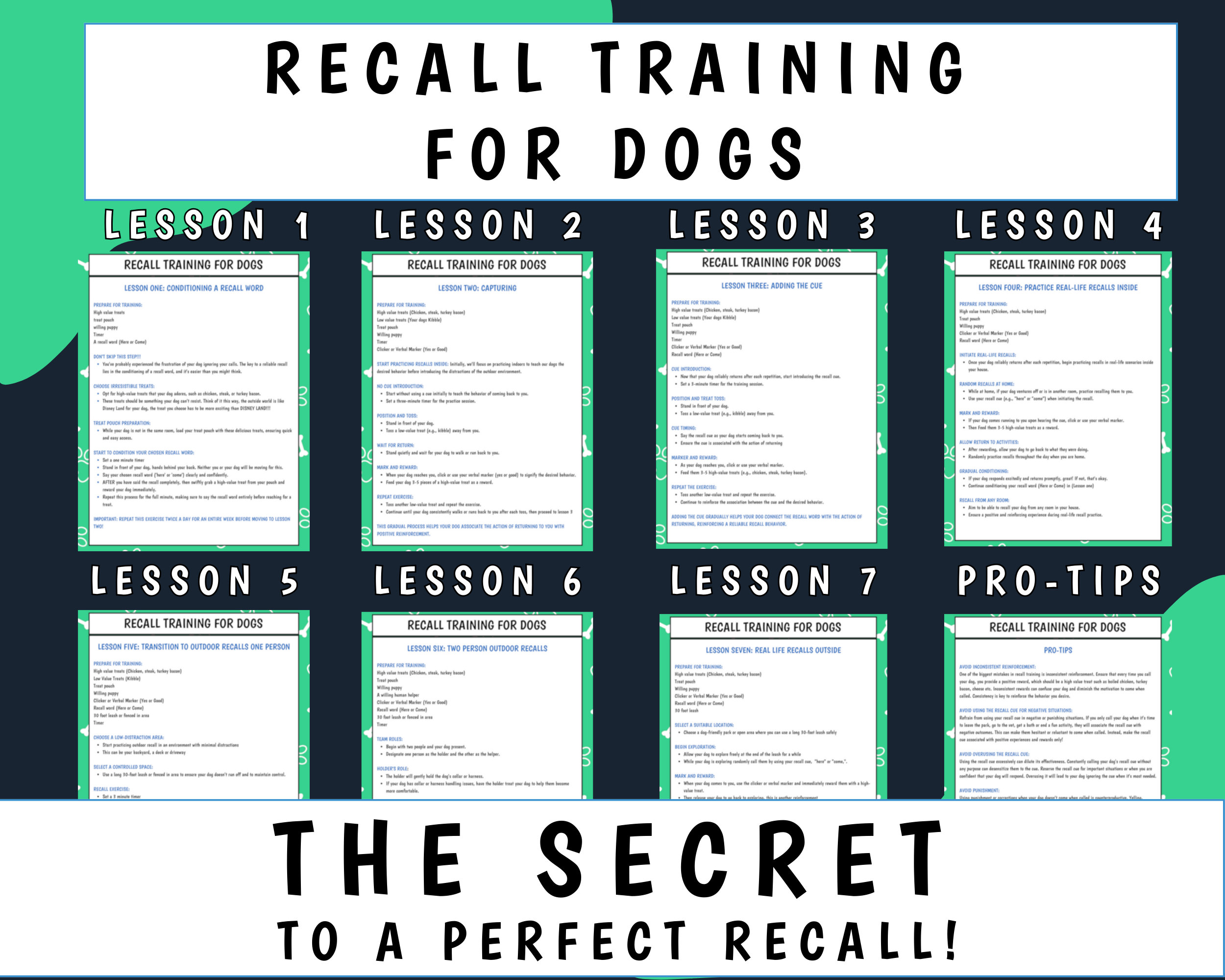 Recall Training PDF for Dogs - Etsy