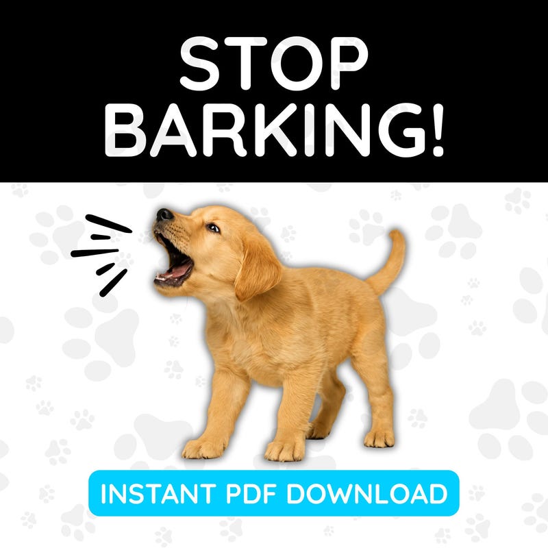 Friendly Reactive Dog - Etsy