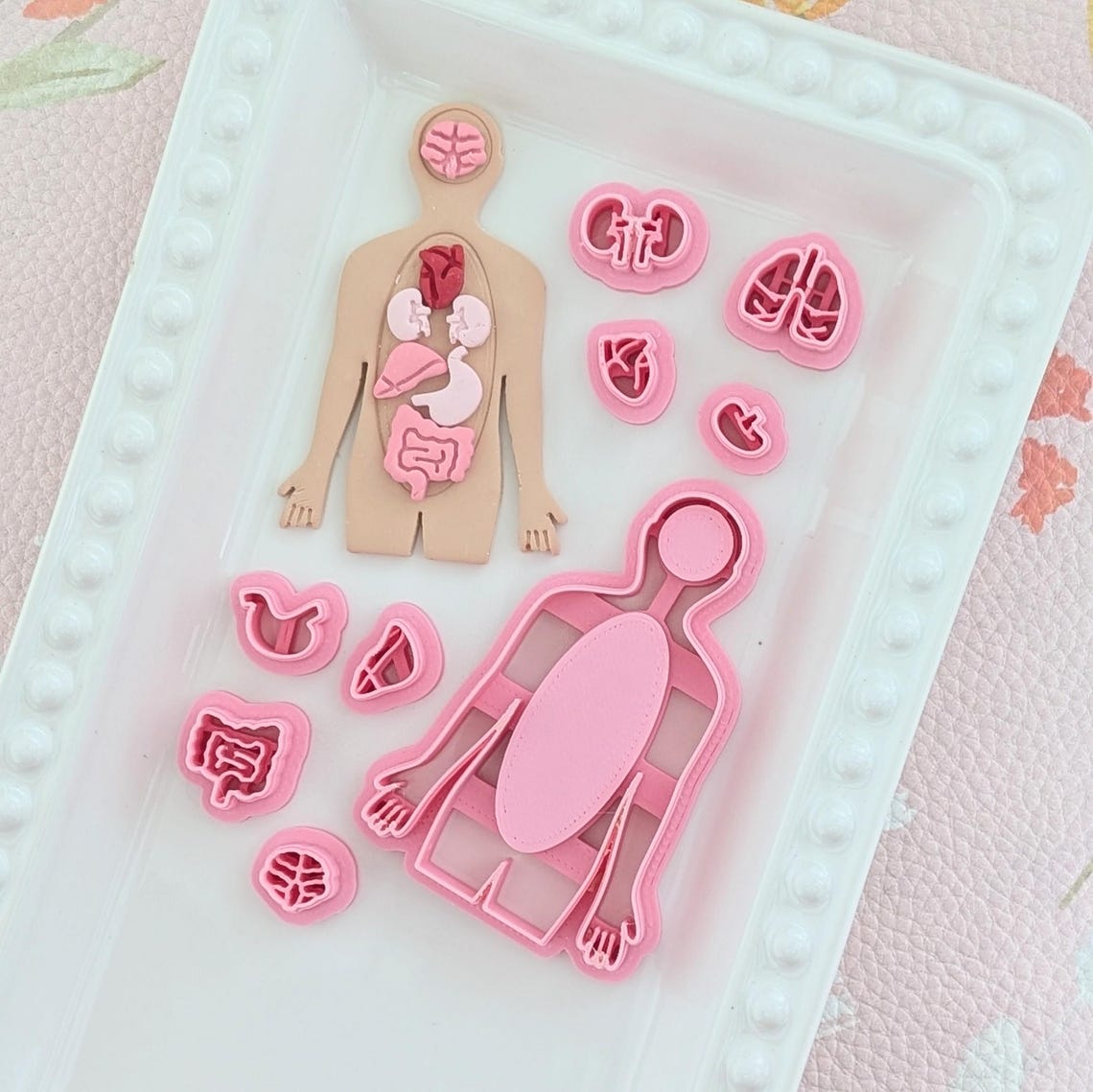 Human Anatomy Polymer Clay Cutters | Organs in Body for Jewelry and ...