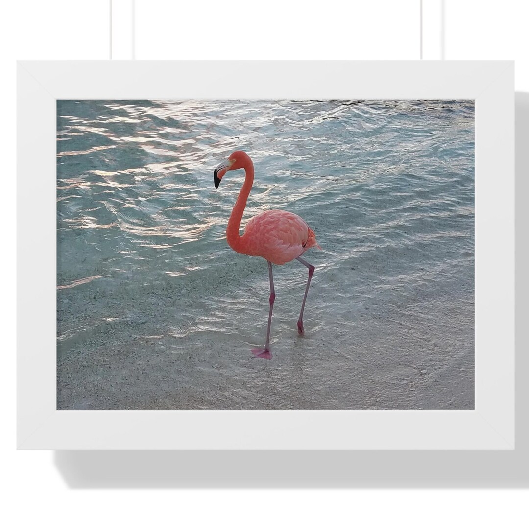 Framed Poster Flamingo Framed Art Flamingo Poster Flamingo Art Beach ...