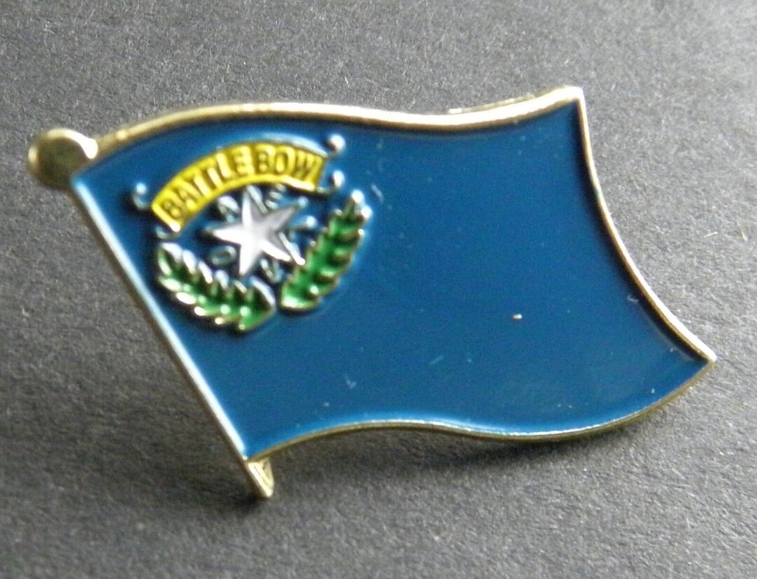 Nevada Us State Flag Single Lapel Pin Badge 7/8 Inch - Etsy