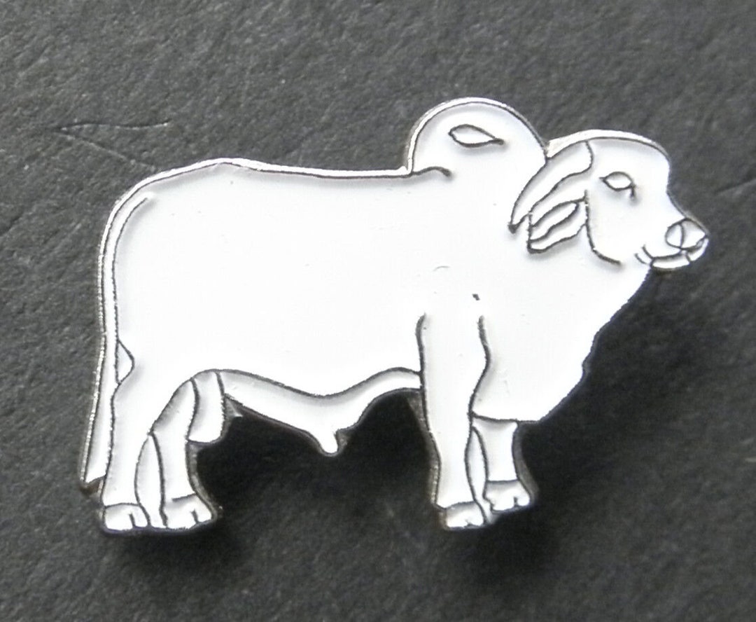 Brahman Brahma Cattle Cow Lapel Pin Badge 3/4 Inch - Etsy