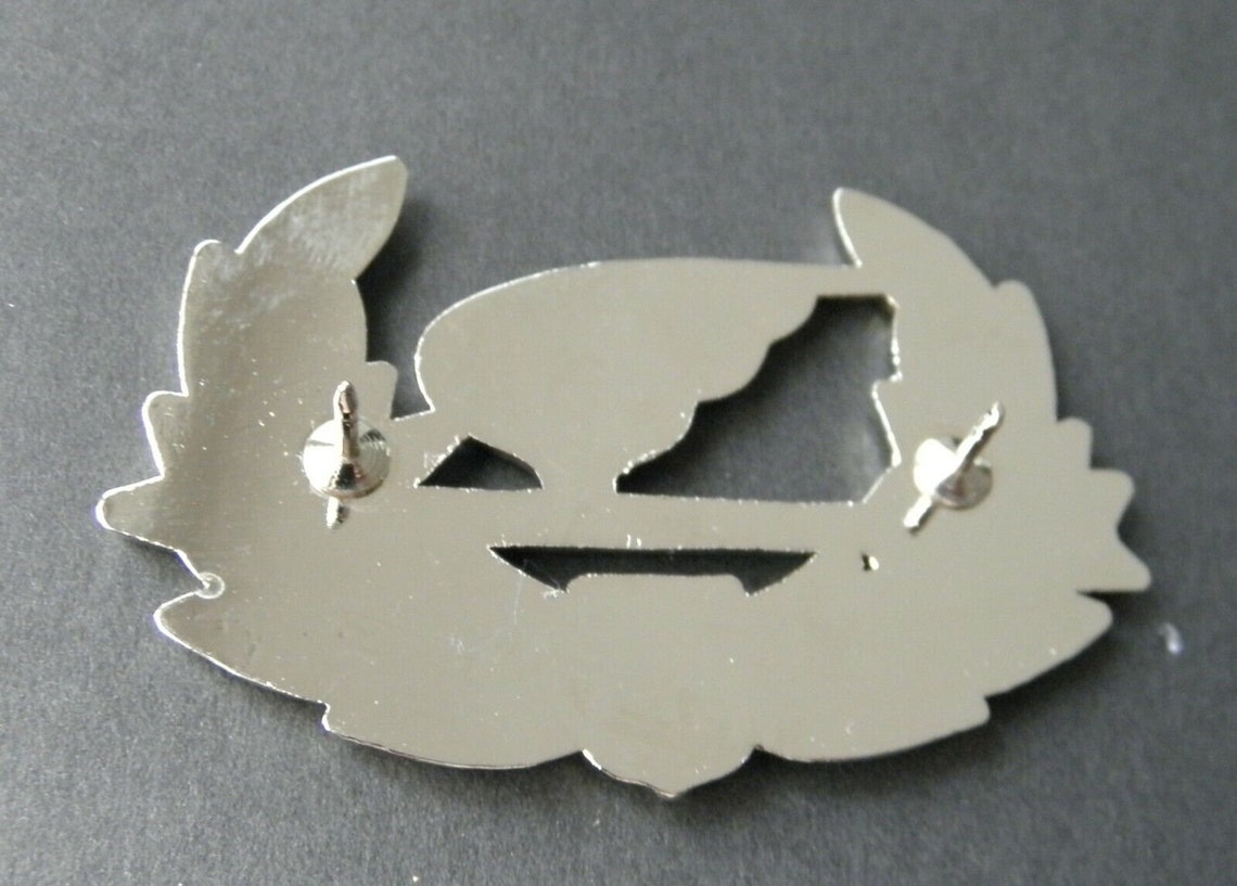 Us Army Ranger Vietnam Badge Lapel Hat Pin Wings 2.25 Inches - Etsy