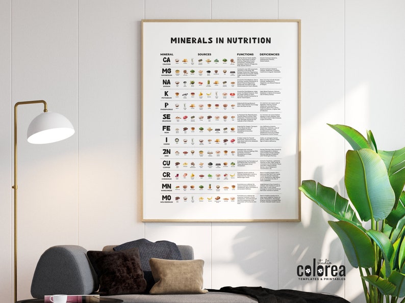 Minerals Nutrition Guide Poster | Health Education (digital Download ...