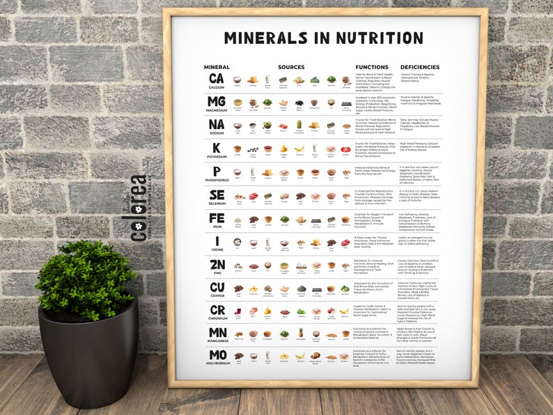 Minerals Chart | Minerals Food List | Nutrition Poster | Health Coach ...