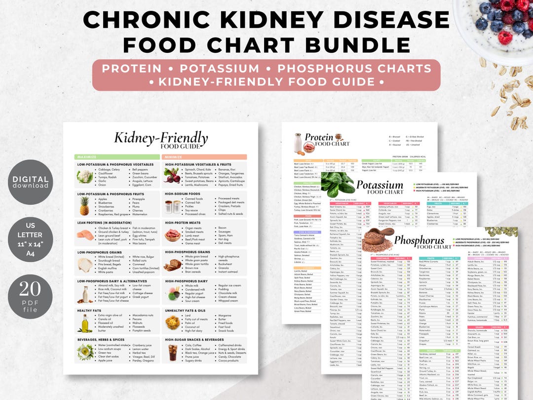 Kidney Friendly Food Charts Bundle, Protein Food Chart, Potassium Level ...